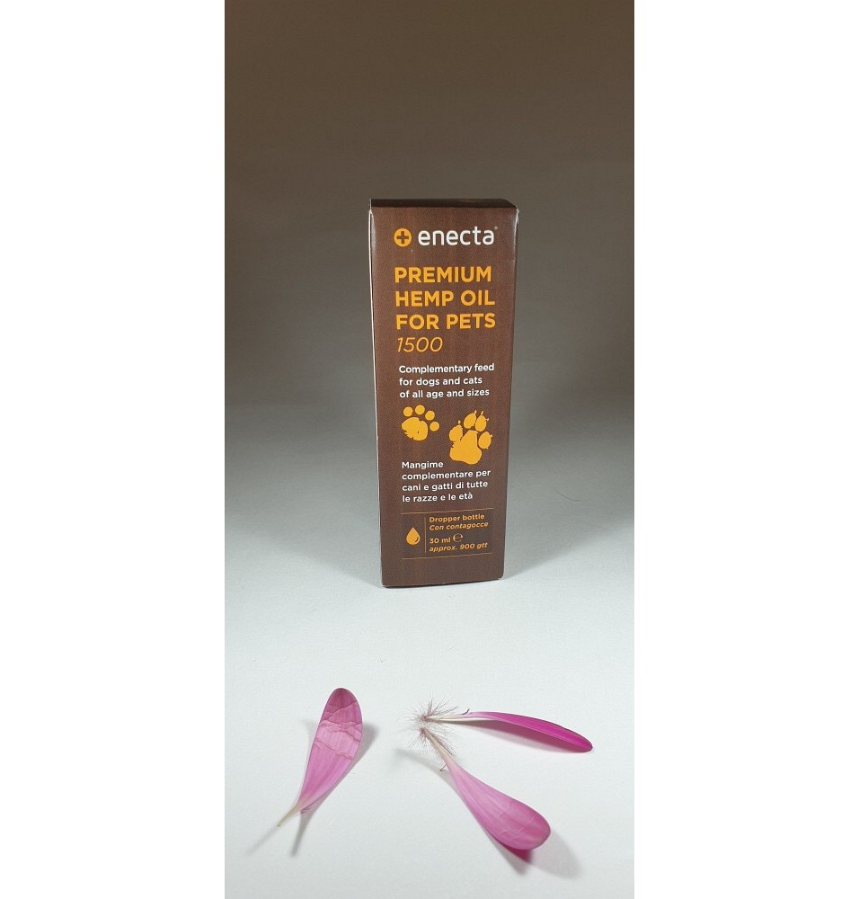 De beste CBD olie producten voor honden - CBD-platform.nl